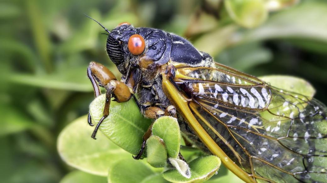 Health Insights | ColumbiaDoctors