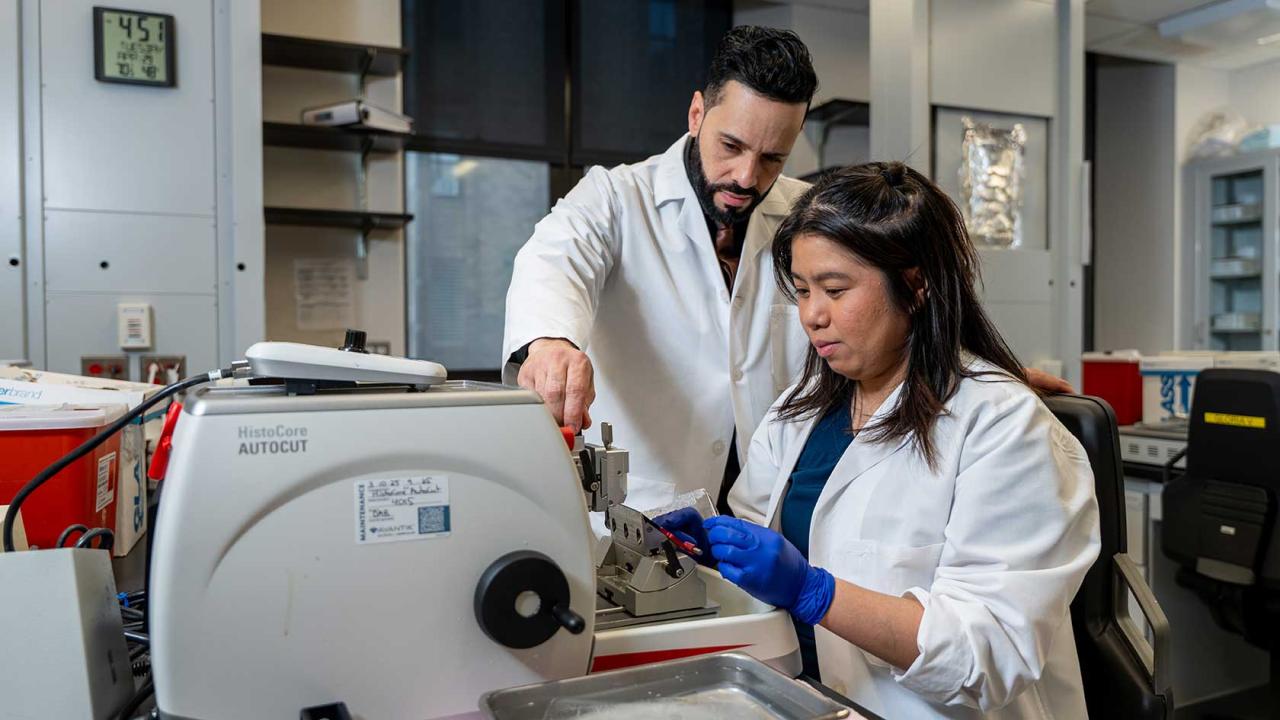 Dermatopathology Services - NYC | ColumbiaDoctors