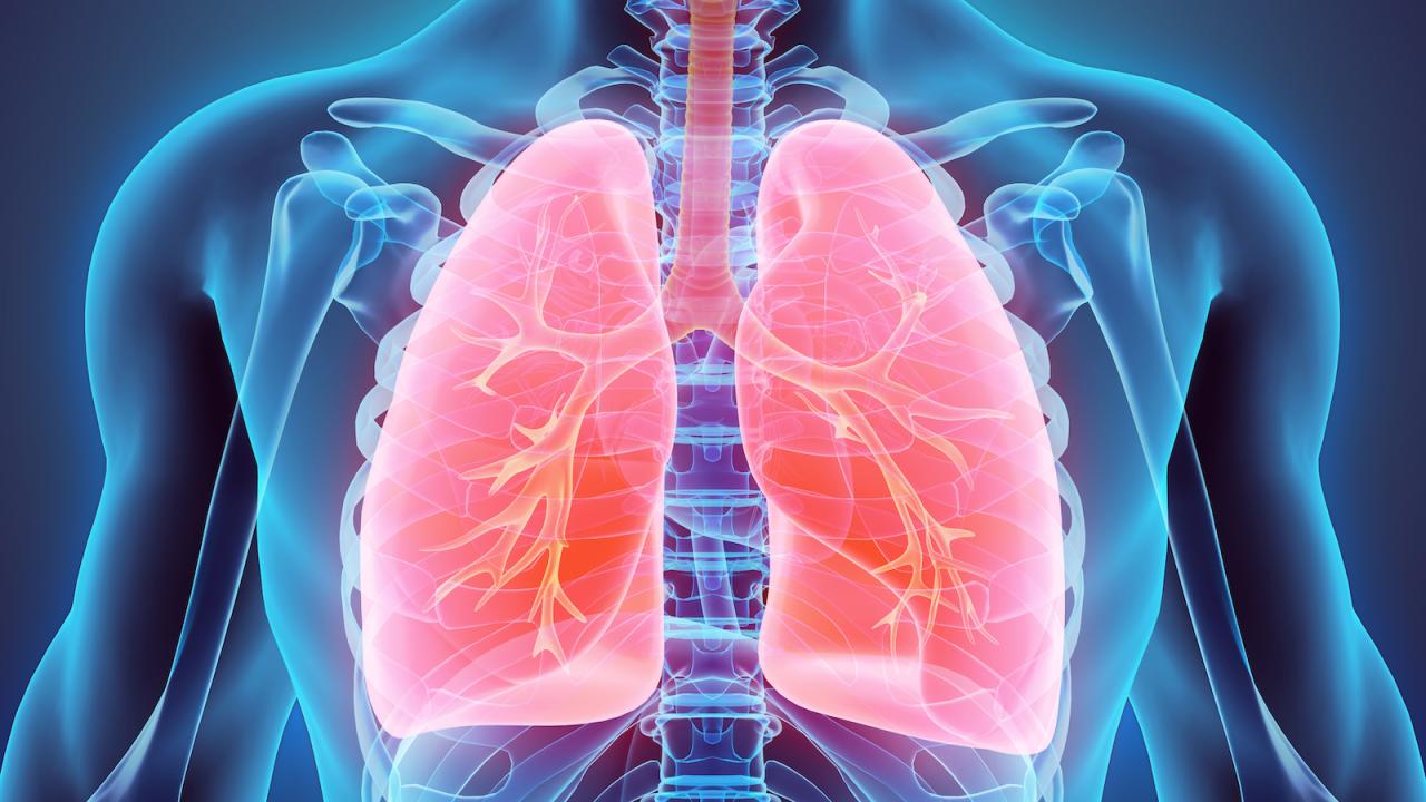 How to know your lungs are healthy | ColumbiaDoctors