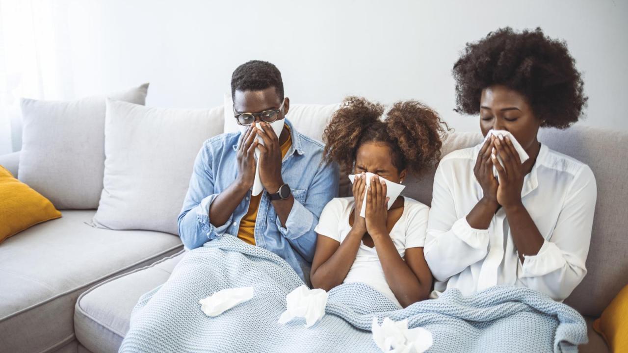 Everything You Ever Wanted to Know About Stuffy and Runny Noses ...