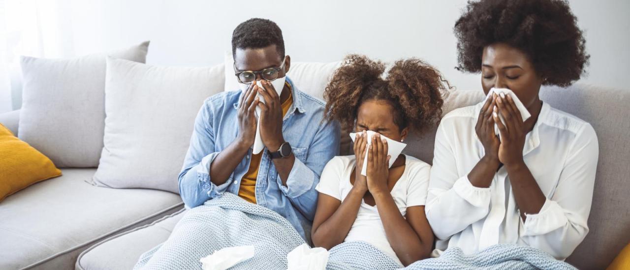 Everything You Ever Wanted to Know About Stuffy and Runny Noses ...