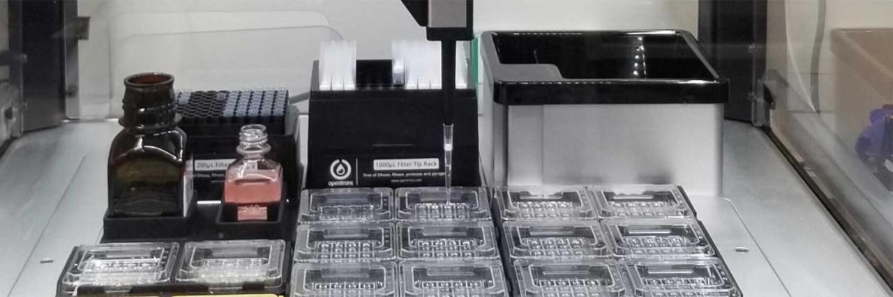 Enhancing Accuracy and Success in IVF | ColumbiaDoctors