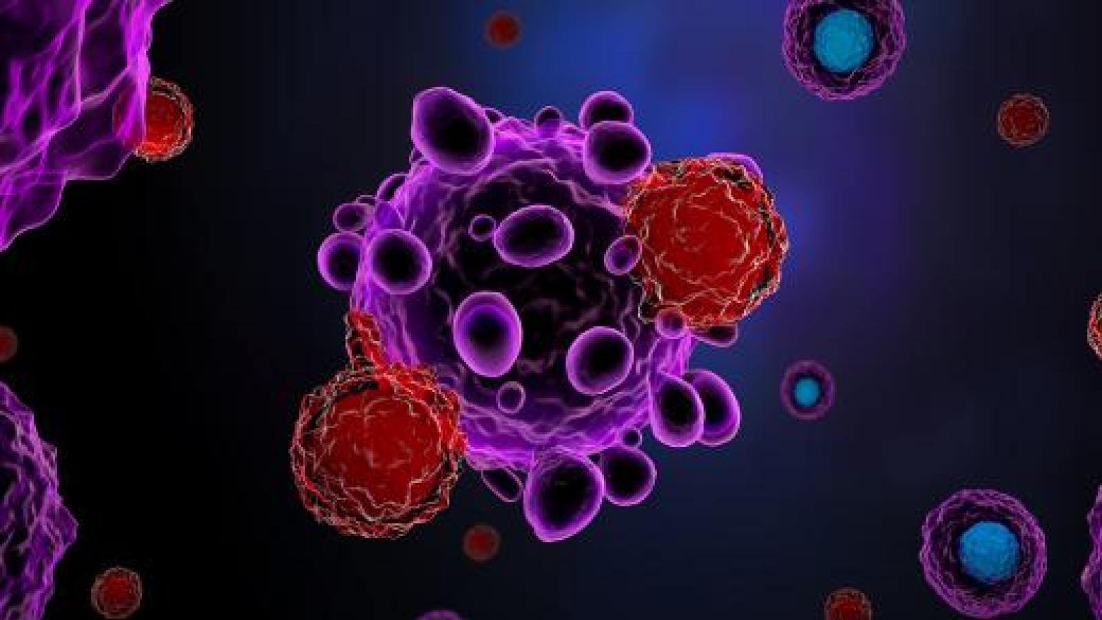 Cancer Services | ColumbiaDoctors