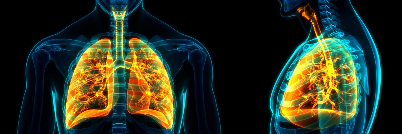 Lung and Breathing Disorders - NYC | ColumbiaDoctors