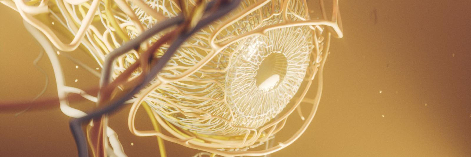 Neuro-Ophthalmology - NYC | ColumbiaDoctors