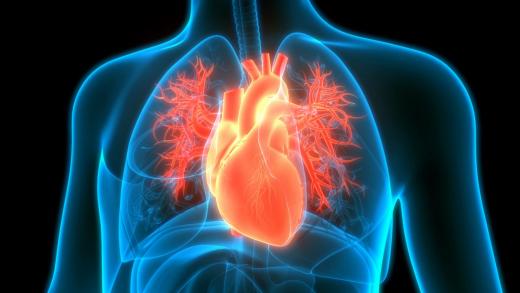 Cardiology & Heart Surgery - NYC | ColumbiaDoctors - New York