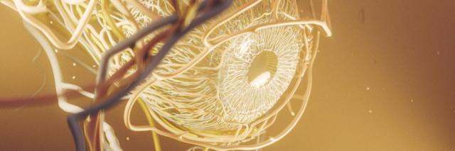 Neuro-Ophthalmology - NYC | ColumbiaDoctors